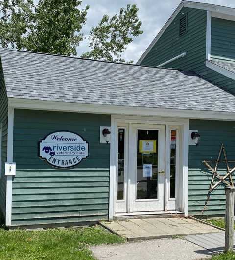 Veterinarian in Rutland, VT 05701 - Riverside Veterinary Care